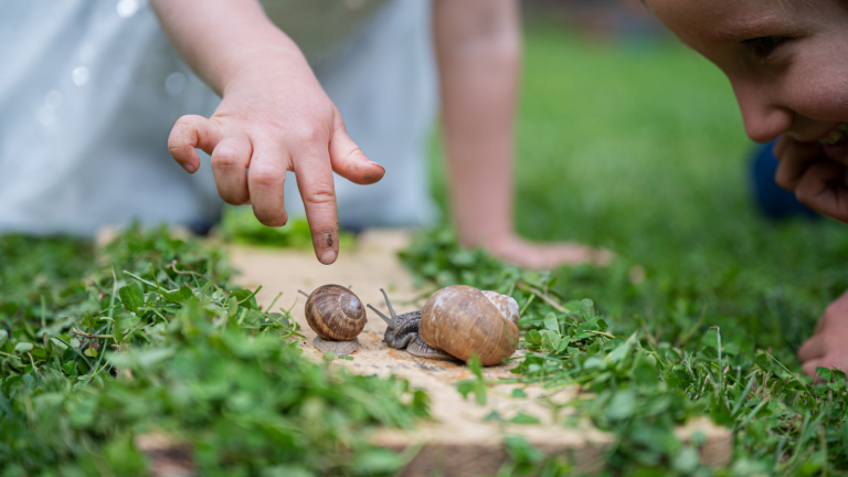 Early Learning and Childcare - Play Scotland